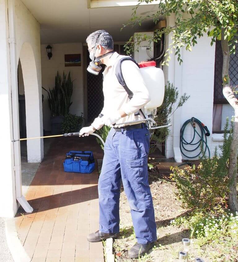 Experts in Pest Control Perth - Pesti Pest Control Perth