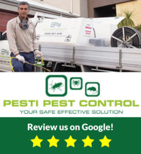 Experts in Pest Control Perth - Pesti Pest Control Perth