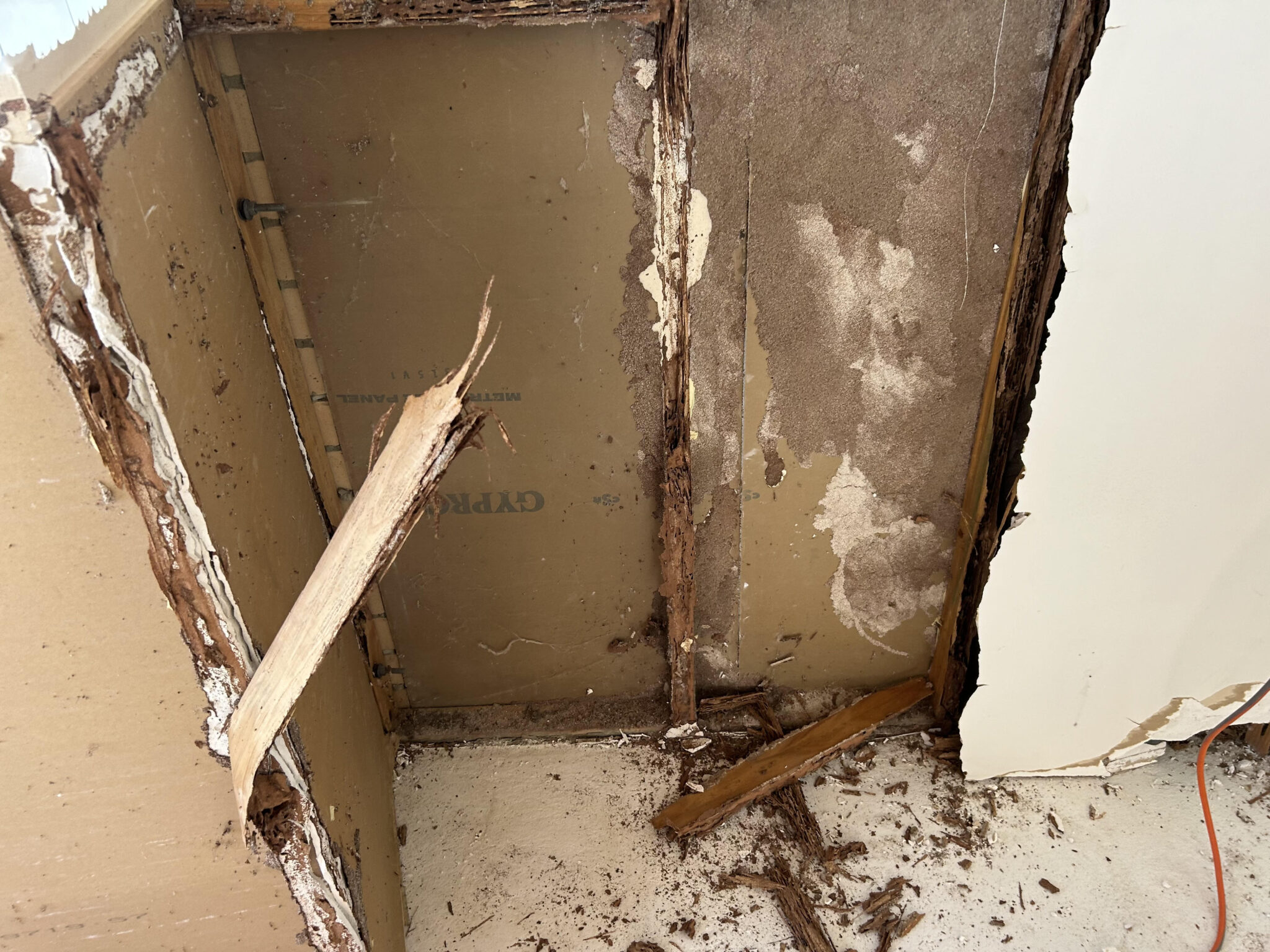 Termite Treatment Perth WA, Get Affordable Termite Treatment by Pesti ...